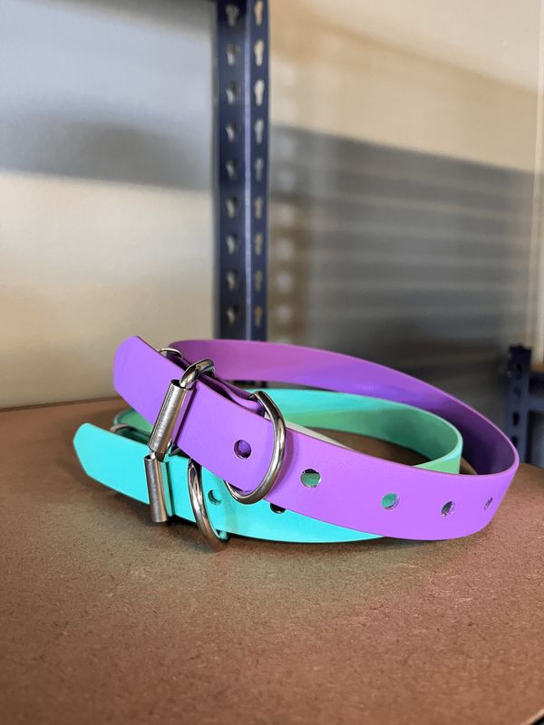 XL Dog Collars