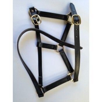 Trackwork Head Collar