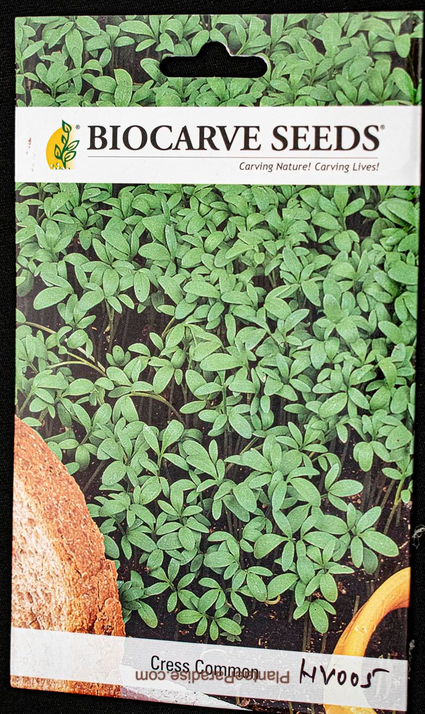 Cress Common - India's #1 Online Garden Store | Buy Cactus & Succulent ...