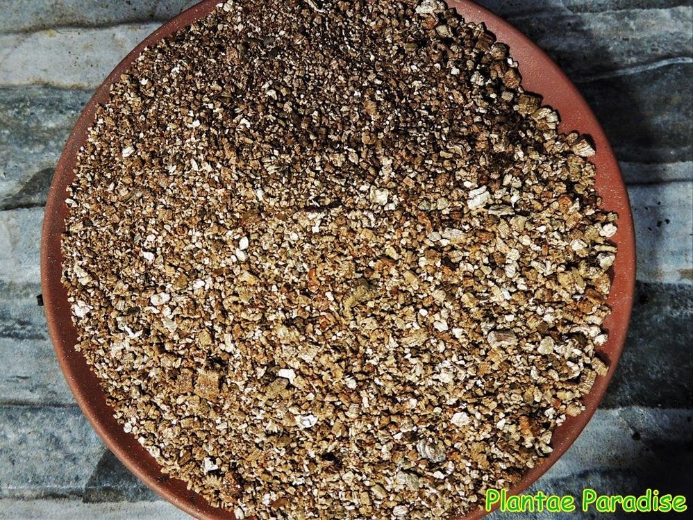 Bone Meal Mix Organic Manure 5KG PACK Plantae Paradise The Bone Meal Mix Organic Manure 5KG PACK Plantae Paradise The