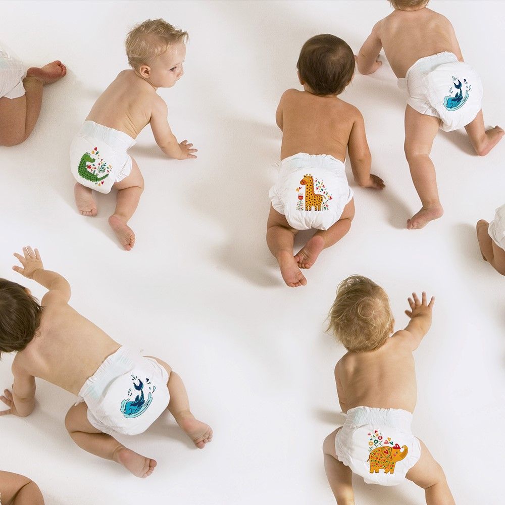 Our Nappy Zoo – HOME – Playtime ELR