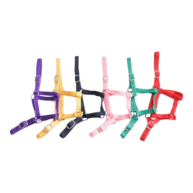 EUREKA BUCKLE HALTER