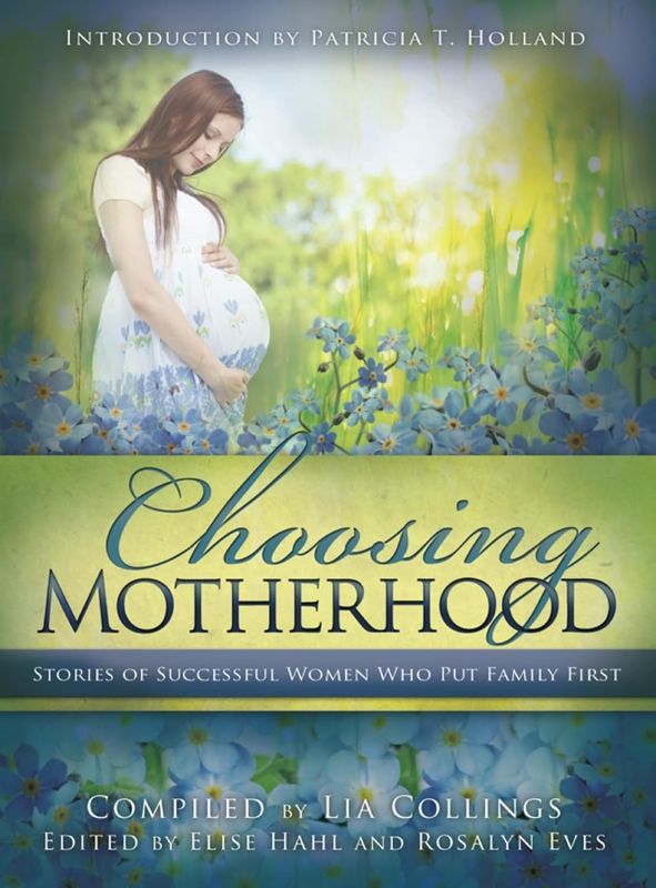 Choosing Motherhood: Stories of Successful Women Who Put Family First