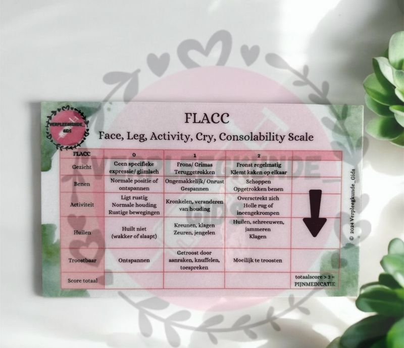 Producten — Verpleegkunde_Gids