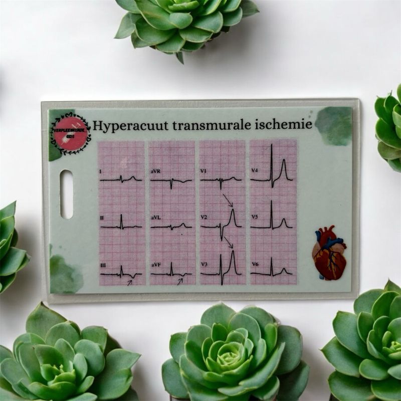 Producten — Verpleegkunde_Gids