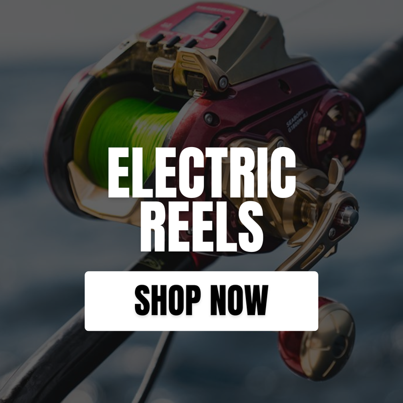 ELECTRIC REELS