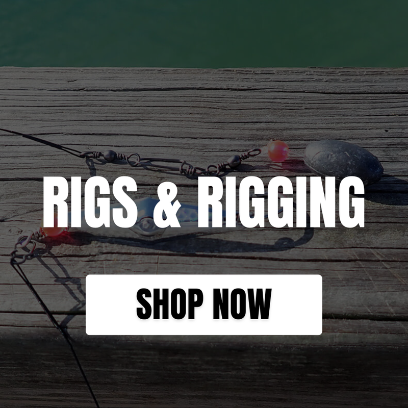 RIGS & RIGGING