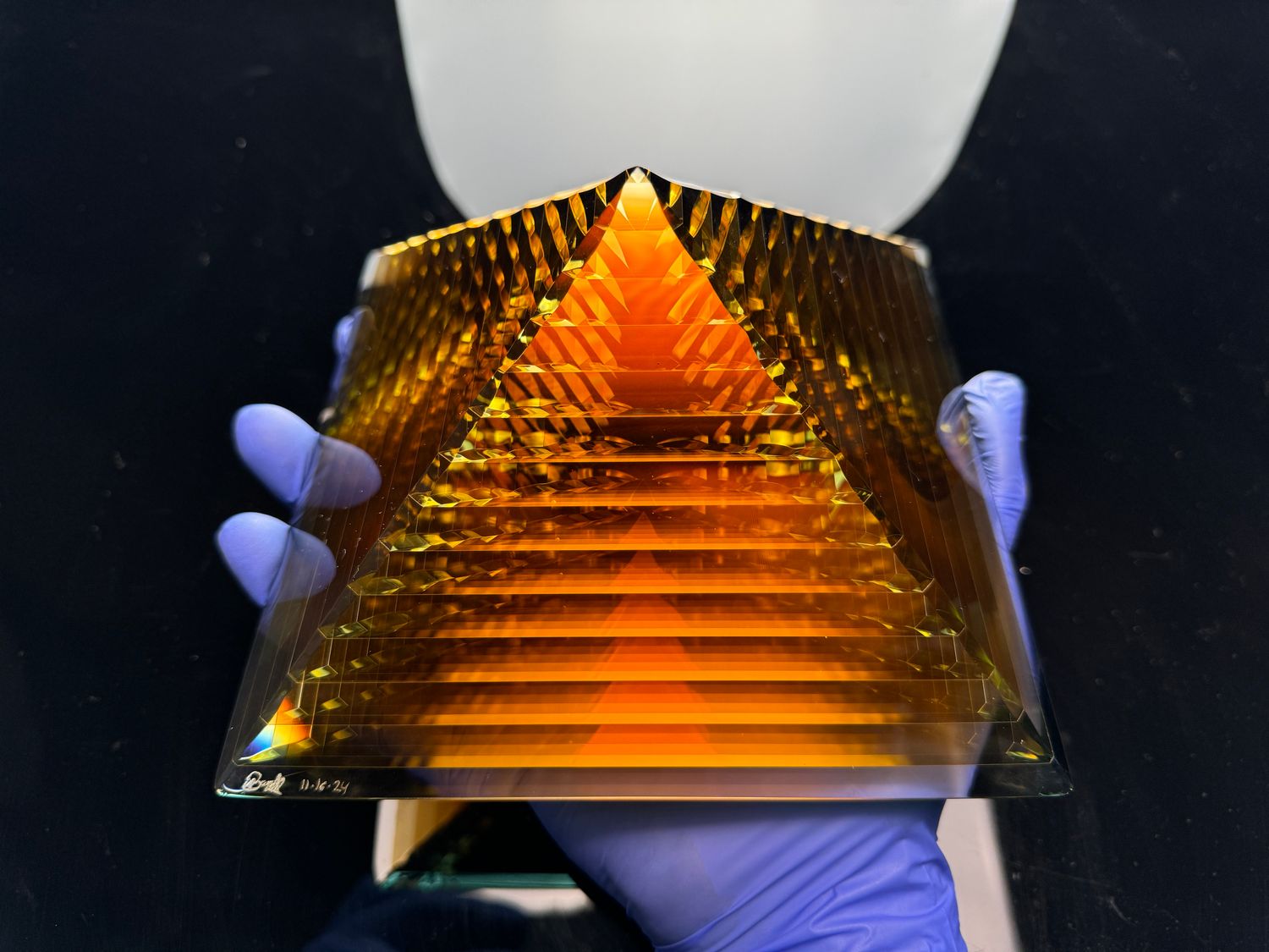 Tree of Life - T46221