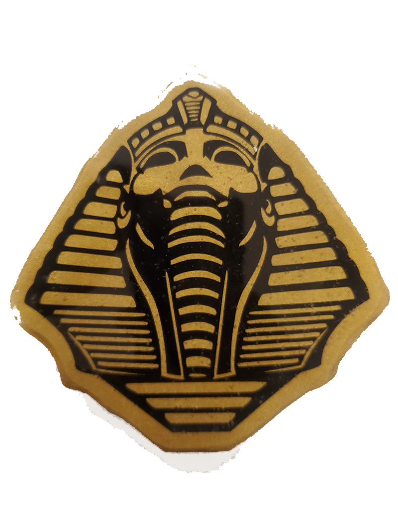 Custom-made Sphinx Head Medallion – Store – Ann Arbor Alphas