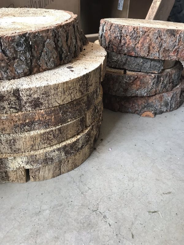 Rental- Tree rounds