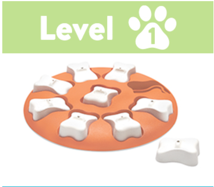 Level 1 -Easy Beginner Stage