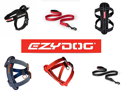 Ezy Dog Harnesses, collars and Leashes