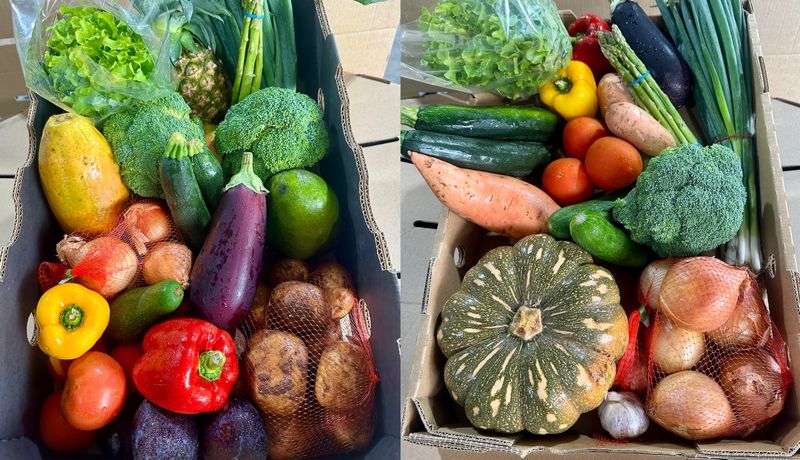 Products — Sunnybees Local Harvest Hub