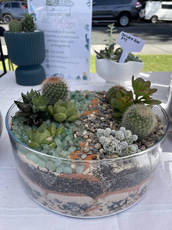 Products — Plant Therapy