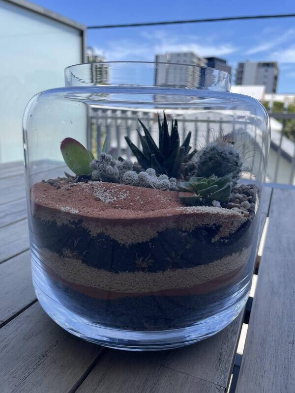 Products — Plant Therapy