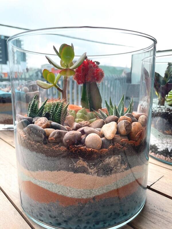 Products — Plant Therapy