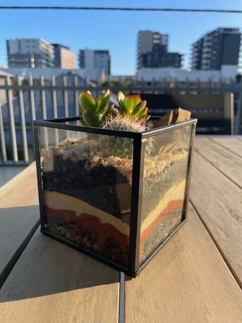 Products — Plant Therapy