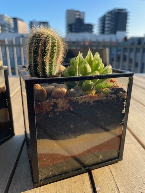 Products — Plant Therapy