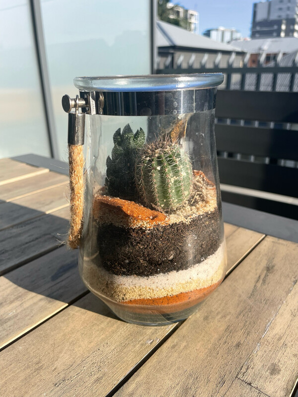 Products — Plant Therapy