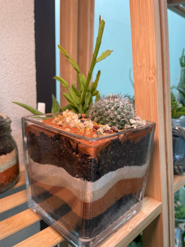 Products — Plant Therapy