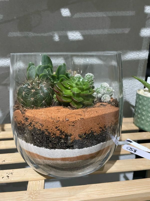 Products — Plant Therapy