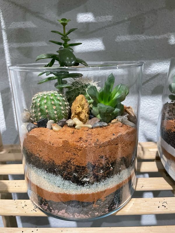 Products — Plant Therapy