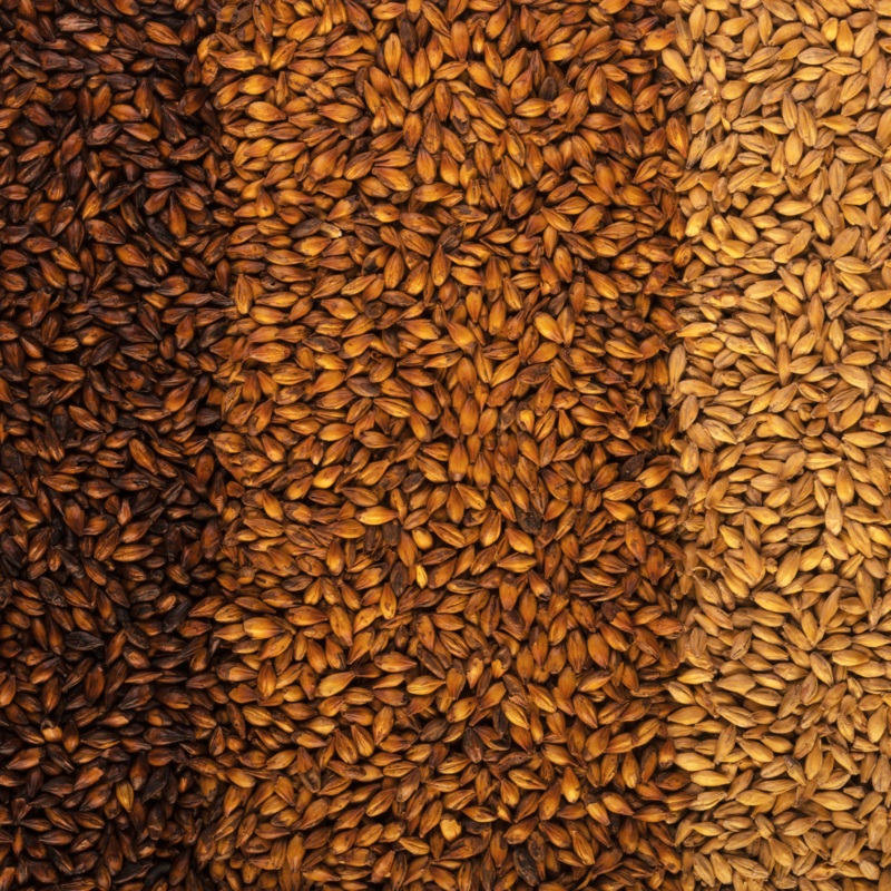 Grain