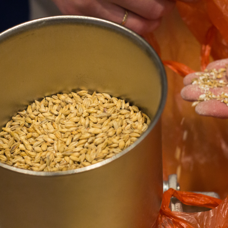 Perfect Brewing Supply | Introduction Courses