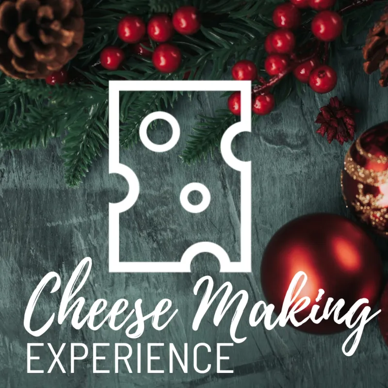 Cheese Class Experience