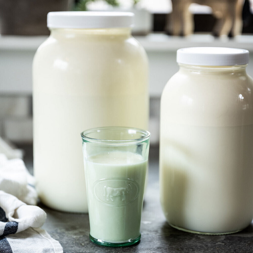 Raw Milk – Shop – Clover Luck Farm
