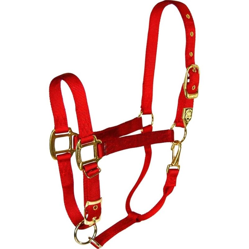 HAMILTON YEARLING HALTER RED
