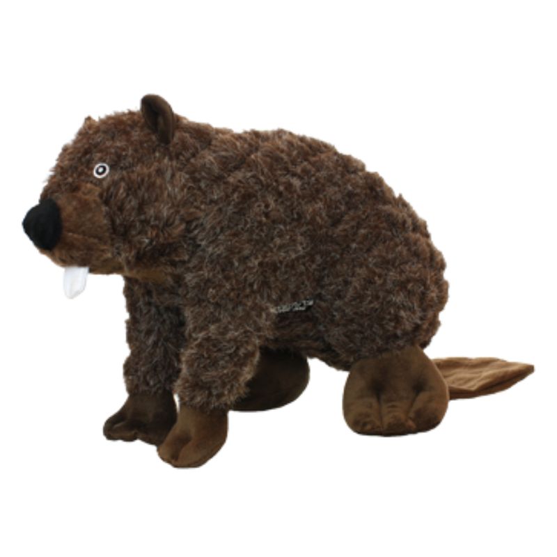 MIGHTY MASSIVE NATURE BEAVER