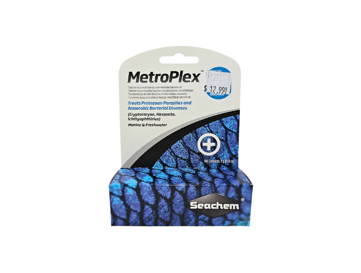 Live Corals for Sale | Aquatic Oasis | Chubbuck, ID