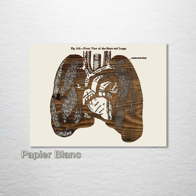 Fire and Pine Gray's Anatomy - Lungs Front - Papier Blanc Schmedium