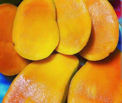 WildGardenOrganics Planting Fruit Forests Offers Numerous Benefits For ...