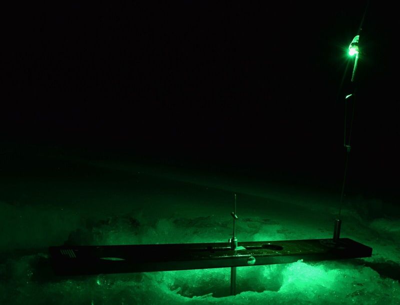 Tip Up/Tip Down Lights