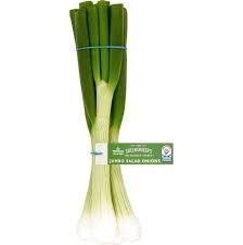Spring Onion Jumbo