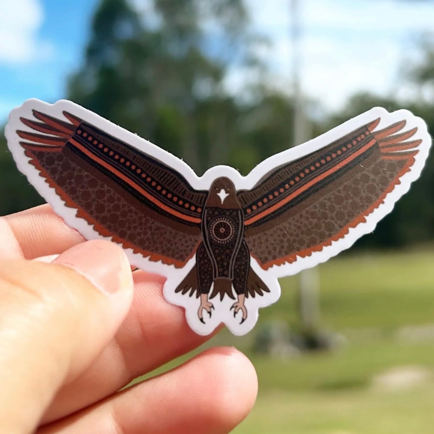 Saltwater Experiences