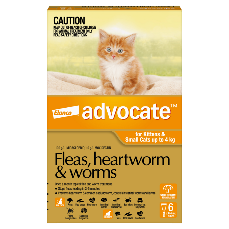Advocate Cat 0-4Kg Small 6'S (Orange)