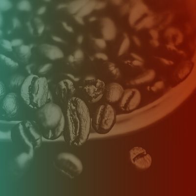 Shop Fresh Coffee – Caliber Coffee Roasters