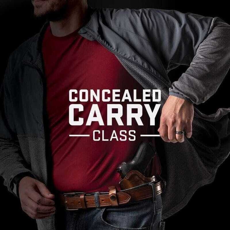 Michigan Concealed Pistol License Online Course