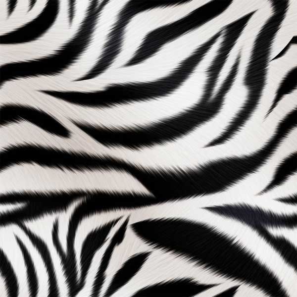 Zebra Skin 040