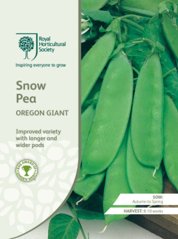 Snow Pea Oregon Giant