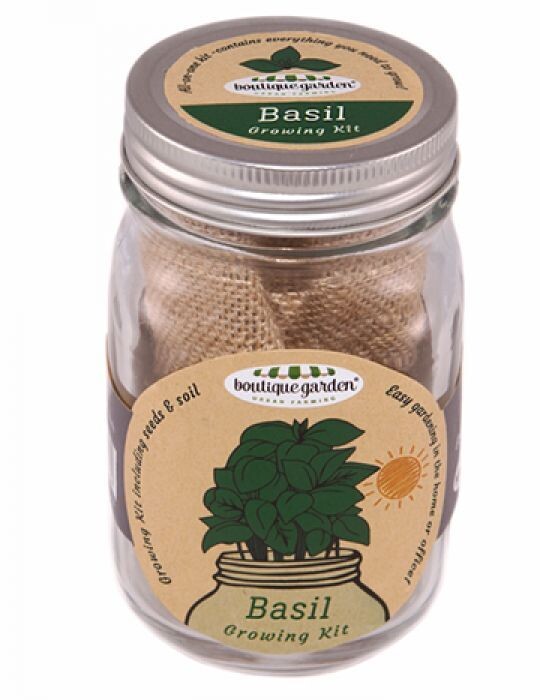 Mason Jar Grow Kits - Basil