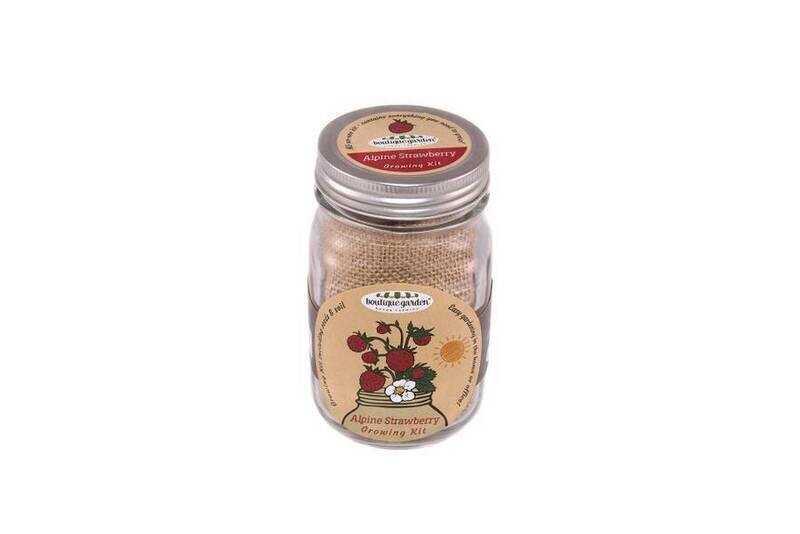 Mason Jar Grow Kits - Strawberry Alpine