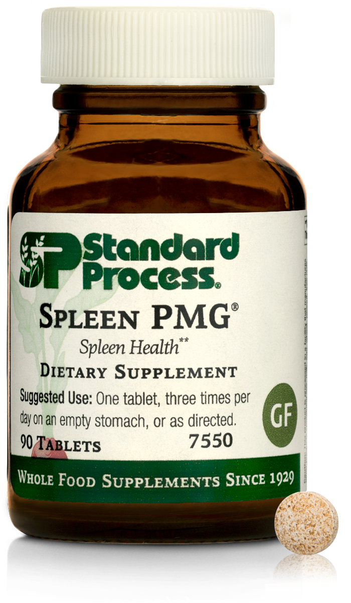 Spleen PMG - Store - Dr. Jack Kunkel