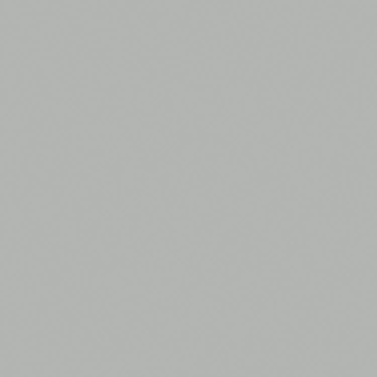 Store - Parksite » Solid Surface Sample - Silver Gray (Special Order) - 10x10