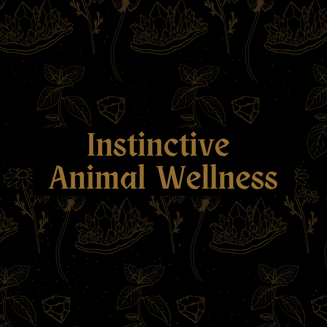 Instinctive Animal Wellness