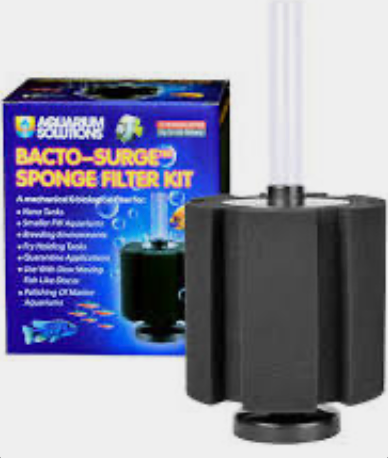 Sponge Filter