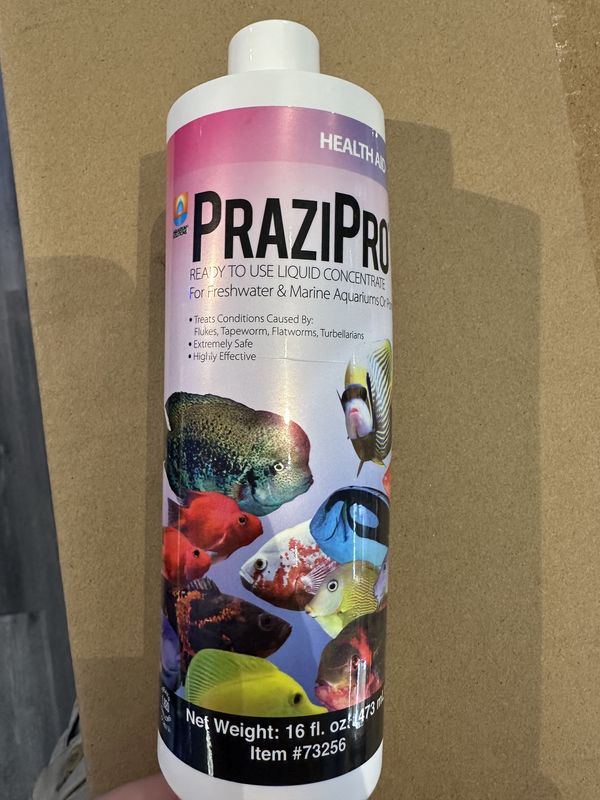 HIKARI PRAZIPRO 16OZ